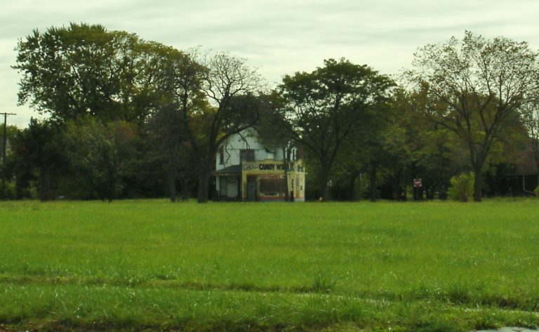 Urban Farming in Detroit as Neighborhood Preservation