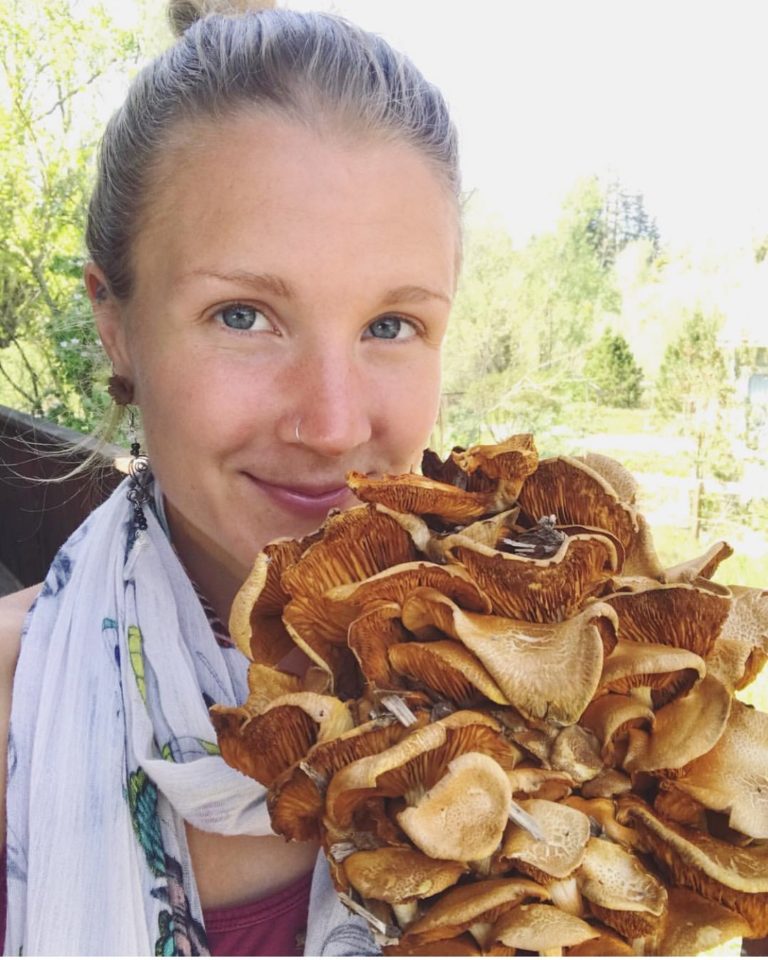 After the Burn: The Benefits of Bioremediation - WilderUtopia