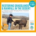 From Desert to Pasture: A Regenerative Ranching Tale - WilderUtopia